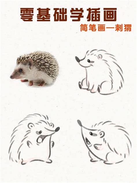 零基础学画画｜简笔画小刺猬的画法～