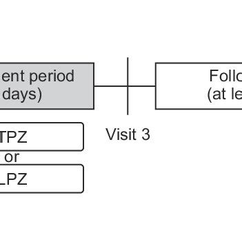 Schematic Diagram Showing The Study Design TPZ Tegoprazan Based Download Scientific Diagram