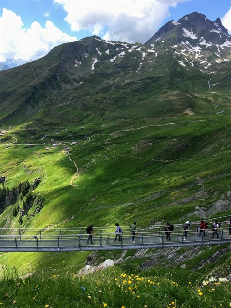 사진으로만 보는 스위스 피르스트 융프라우 마일모아 게시판