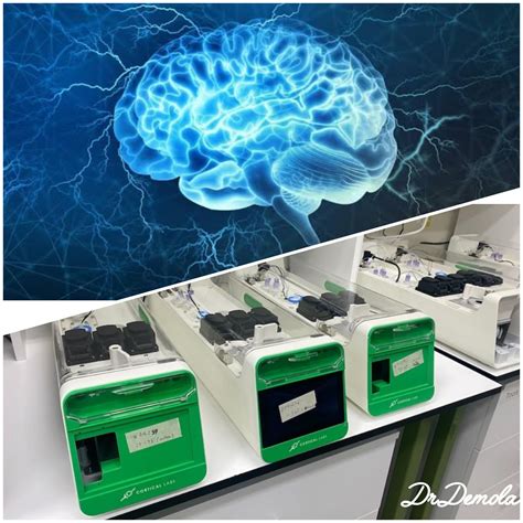 Drdémọ́lá Cortical Labs Unveils Worlds First Biological Computer