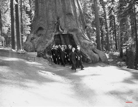 Archivist Update Yosemite — Ap Photos