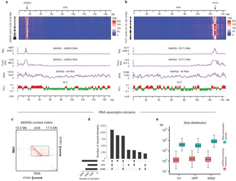 染色质相关 Rna 与人类细胞中 3d 基因组组织之间相互作用的全基因组分析 Nature Communications X Mol