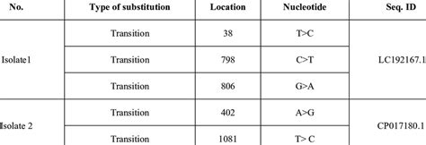 Represent Type Of Polymorphism Of 16srrna Gene From Pantoea Calida And Download Scientific