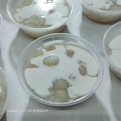 ครัวแม่พรรณ ข้าวเหนียวเปียกลำใยเผือกหอม