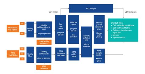 Bd Rhapsody™ Sequence Analysis Pipeline
