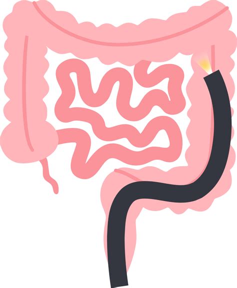Colposcopy And Follow Up Of Abnormal Cervical Screen Dr Kelly Hankins
