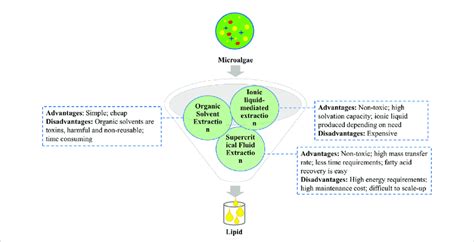 Advantages And Disadvantages Of Lipid Extraction Methods Download