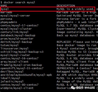 MySQLMySQL 8 安装基于 Docker 腾讯云开发者社区 腾讯云