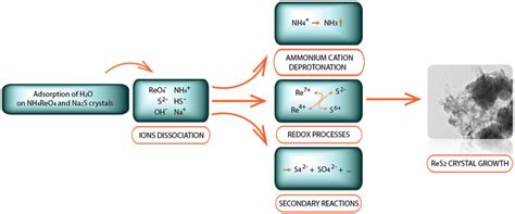 Schematic Representation Of The Reaction Route Download Scientific Diagram