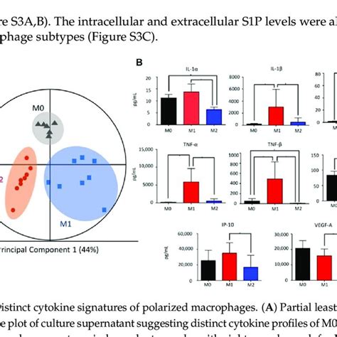 In Vitro Macrophage Transwell Migration A Schematic Of Peritoneum