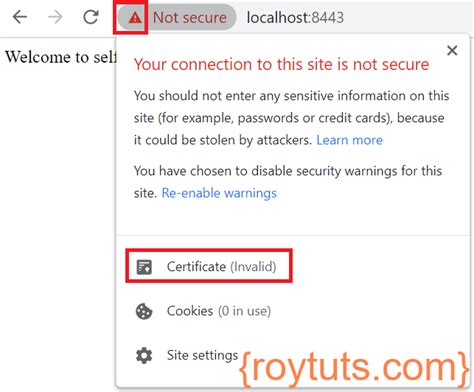 Spring Boot Application Over HTTPS Roy Tutorials