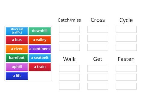 Focus Unit Lesson Group Sort