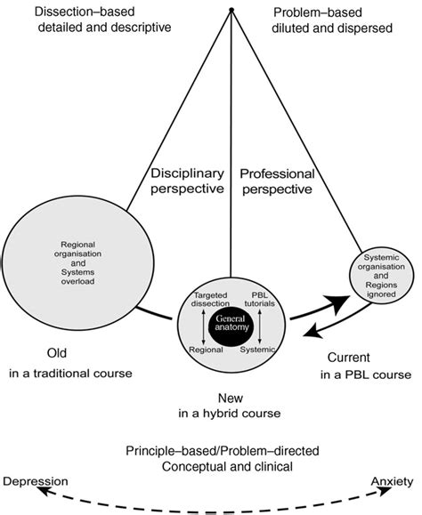 What Is Systematic Anatomy Pulmonary And Systemic Circulation Youtube