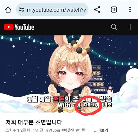 빨간약 아라하시 타비 버튜버 에펨코리아