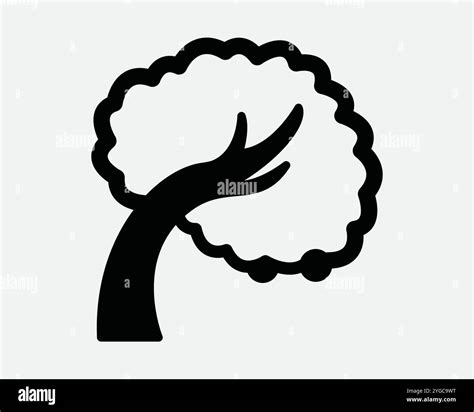 Tree Plant Nature Landscape Outdoor Forest Garden Summer Season Spring Ecology Environment Wood