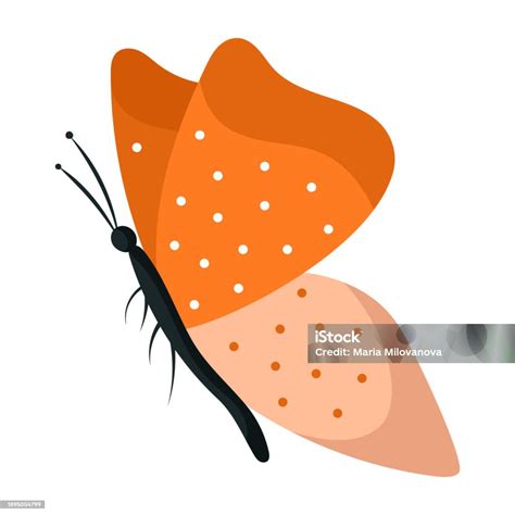 한 손으로 물방울 무늬가 있는 흰색 배경에 고립된 나비를 그립니다 Vectororange 색상입니다 검은색에 대한 스톡 벡터 아트 및 기타 이미지 Istock