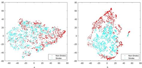 Visualisation Of Extracted Features In Different Ways A Visualisation