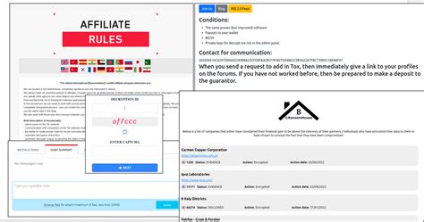 Ransomware Centric Collection And Threat Profiling Analyst1