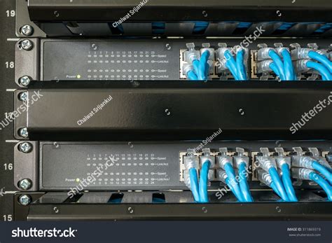 Network Switch Ethernet Cables Stock Photo 311869319 Shutterstock