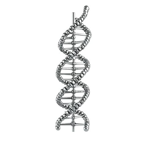 3d Metal Dna Double Helix Model 3d Model Dna Helix L Dna Png