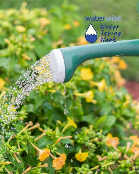 Cenergist As An Affiliate Of Waterwise Cenergist Are
