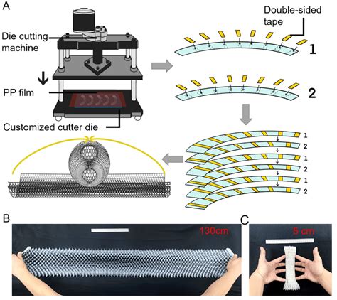 Iii Bio Inspired Soft Robotic Grippers And Manipulators Xingwen
