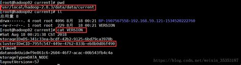 彷徨 执行start Dfssh后，namenode正常启动 Datenode没有启动startdfssh判断有没有成功 Csdn博客