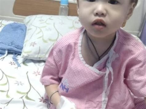 Help My Son To Recover From Genetic Disorder Prf1 Gene Mutation