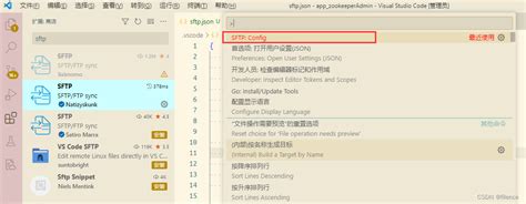 【vscode sftp】使用vscode通过跳板机建立ssh隧道建立sftp连接 vscode跳板机 csdn博客