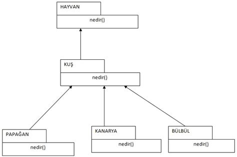 Türkçe Yazılım Ve Bilgisayar Mühendisliği Dersleri Java Android Ios Javascript Node
