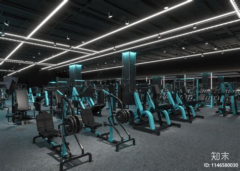 现代健身房3d模型下载【id1146580030】知末3d模型网