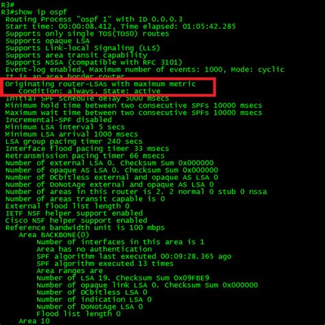 Ospf Stub Router Advertisement And Graceful Shutdown Rands Journey