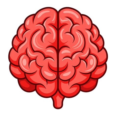 Red Brain Drawing