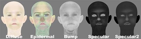 help this step about skin sss 3ds max — polycount