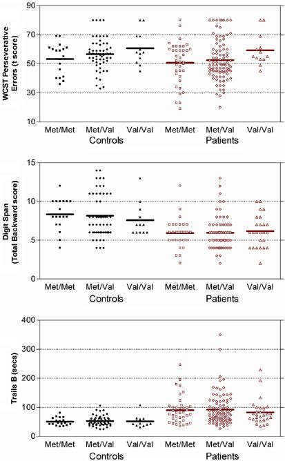 working memory executive functions performance in healthy volunteers