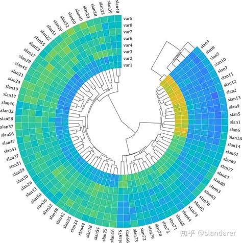 Matlab 绘图复刻 五 带树状图的环形热图 知乎