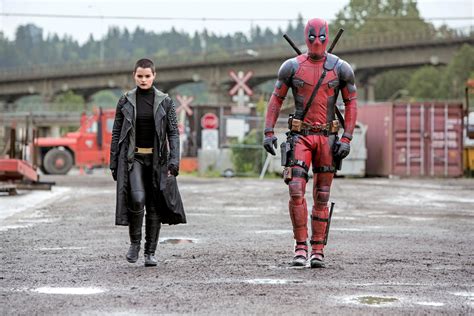 현지보고 어른용 슈퍼히어로 2월 개봉