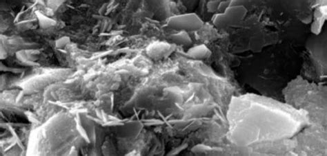 Sem Microstructure Represeintation Of The Rpc L Patterns Download Scientific Diagram