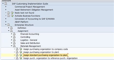 Sap Mm Sourcing And Procurement Organisation Structure Assignment