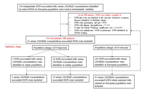 Figure E Flowchart On The Selection Of Instrumental Variables