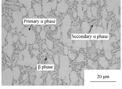 om image of original microstructure of as received tc4 alloy download