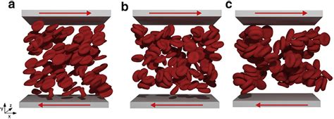 Computational Modeling Of Rbc Adhesion And Aggregation A C