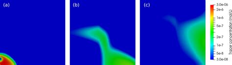 Spatial Distribution Of Tracer Concentration Calculated With Download Scientific Diagram
