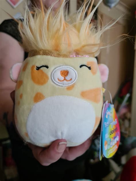 Small Discussion Rant For Any Fellow Midwest Squishers Squishmallows
