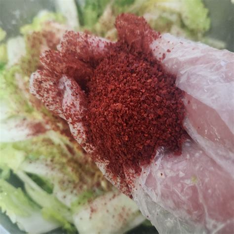 알배기배추겉절이