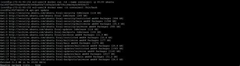 Configuring D Server On Docker Container And Setting Up Python
