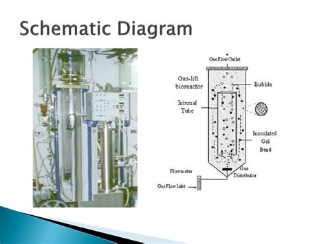Ppt Chapter 4 Airlift Bioreactor Powerpoint Presentation Free