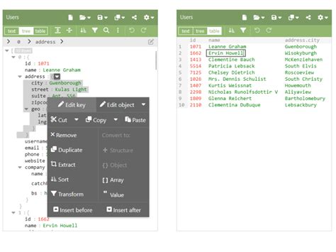 6 Features Make Json Formatting And Validation Easy Officience