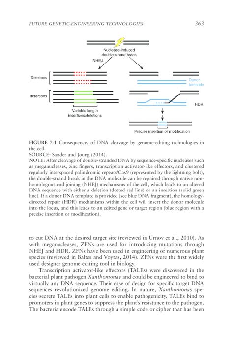 Future Genetic Engineering Technologies Genetically Engineered Crops Experiences And