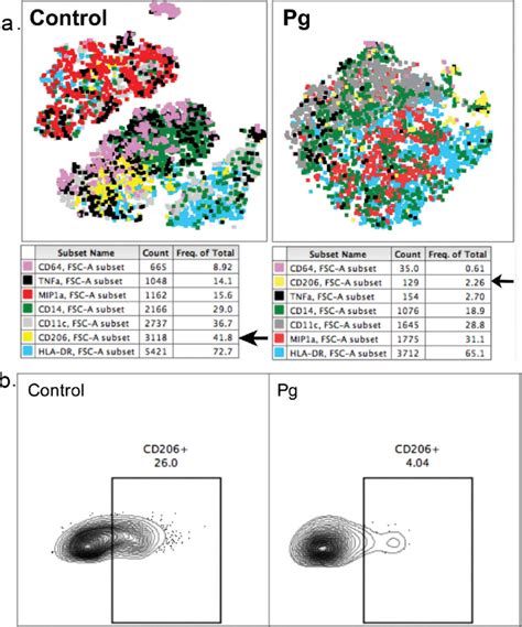 Unbiased Multidimensional Tsne Clustering Analysis Of First Trimester